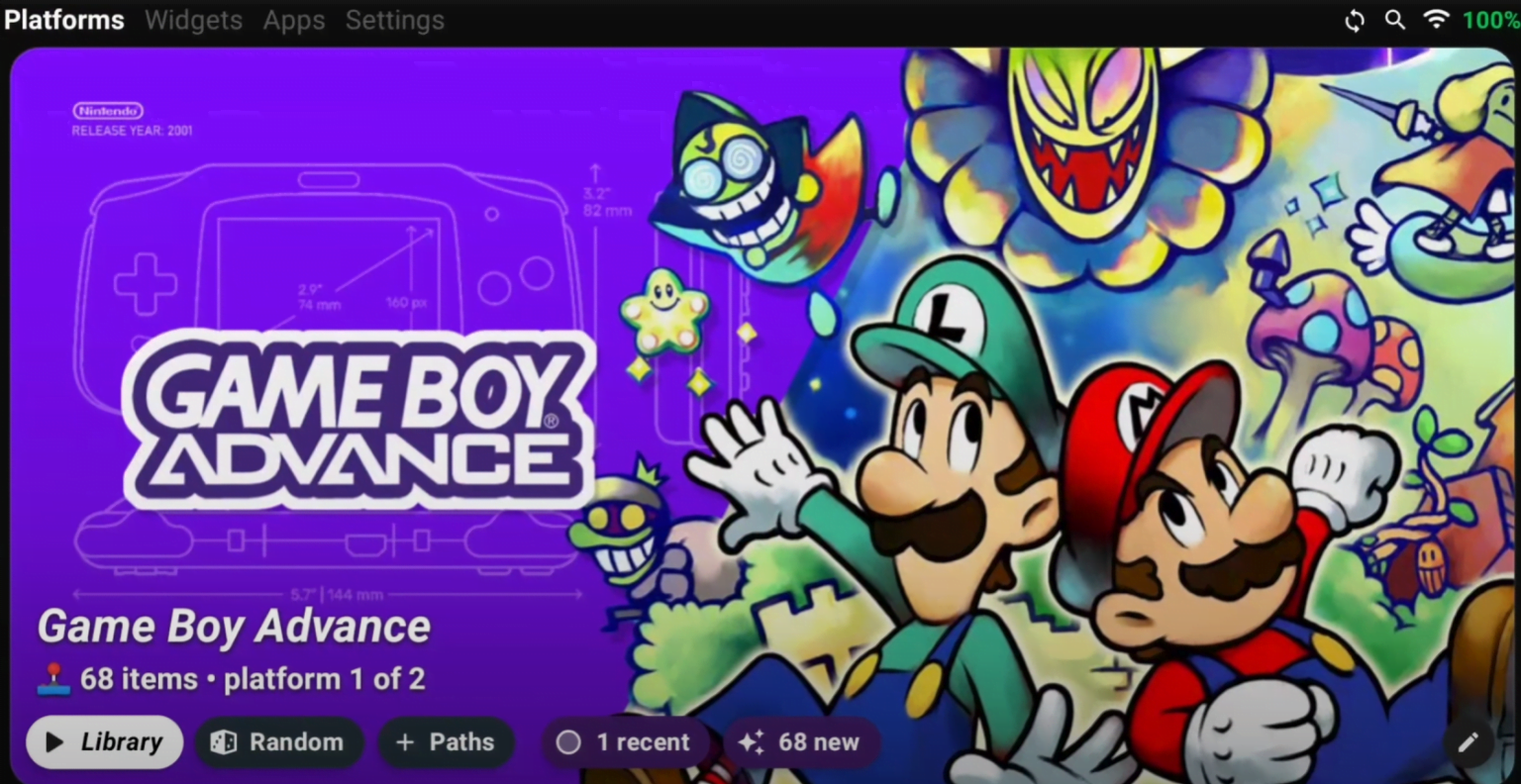 Daijisho Setup Guide