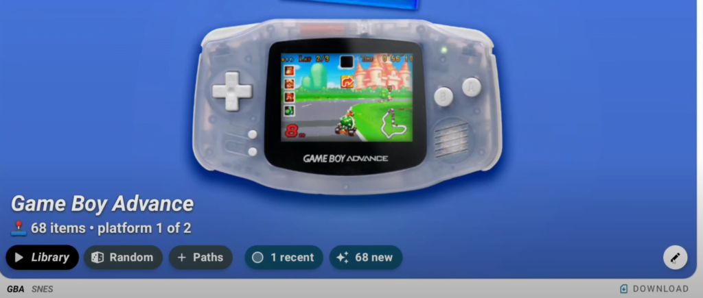 Daijisho Setup Guide